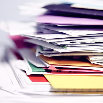 Portfolio - Schellenberg